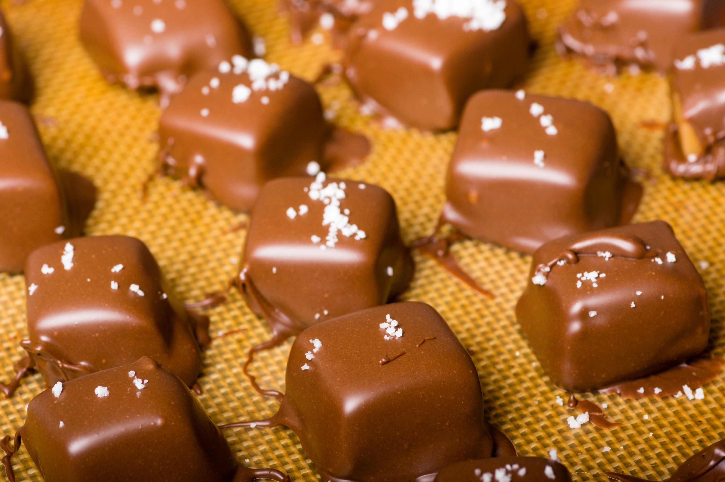 Indulge in the World of Chocolate - A Journey with a Chocolatier ...